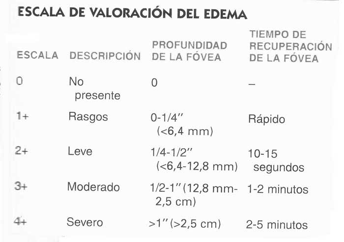 LAS CORONARIAS: Grados de fóvea