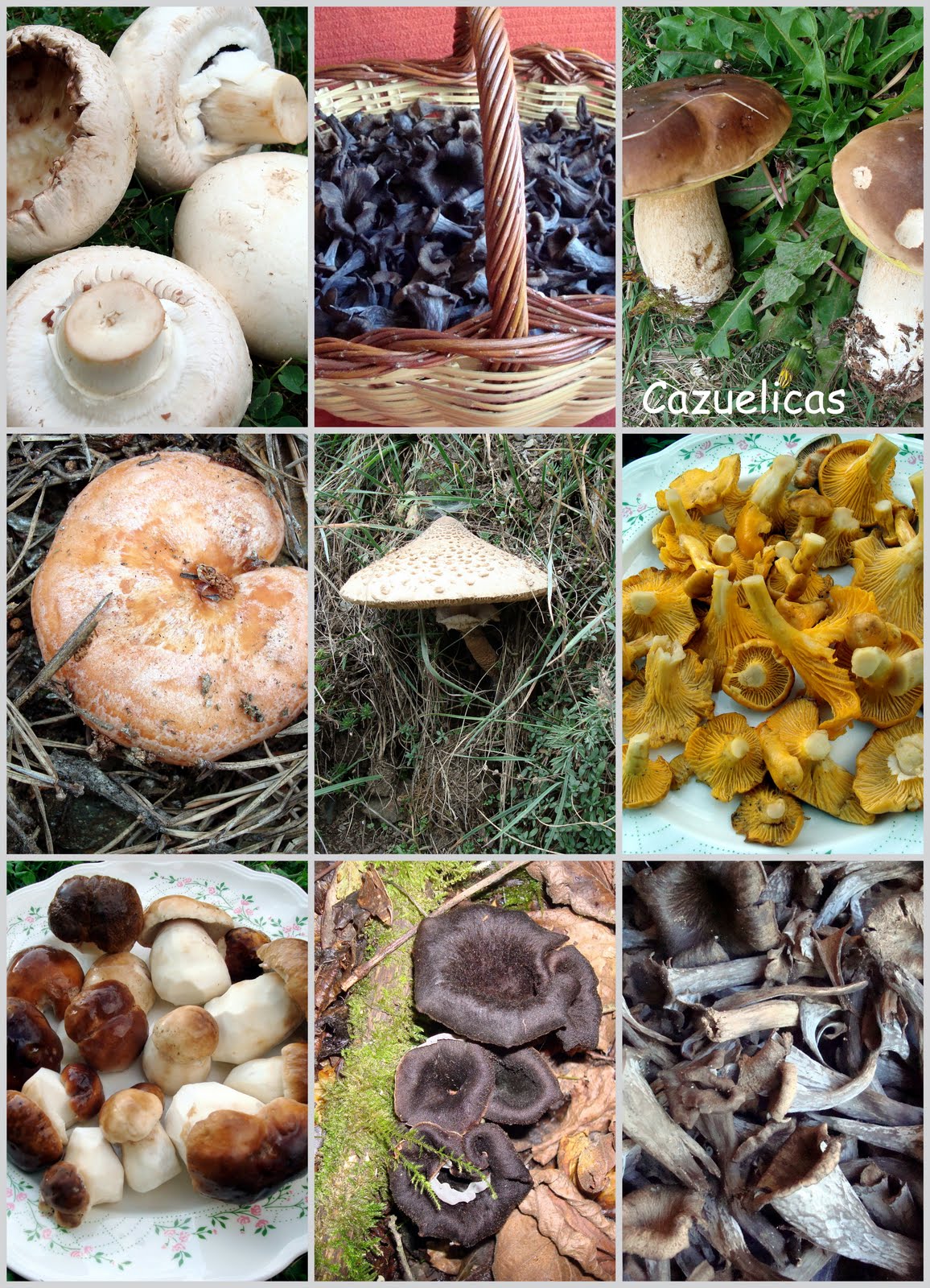 Cazuelicas: "TRINXAT DE BOLETS"