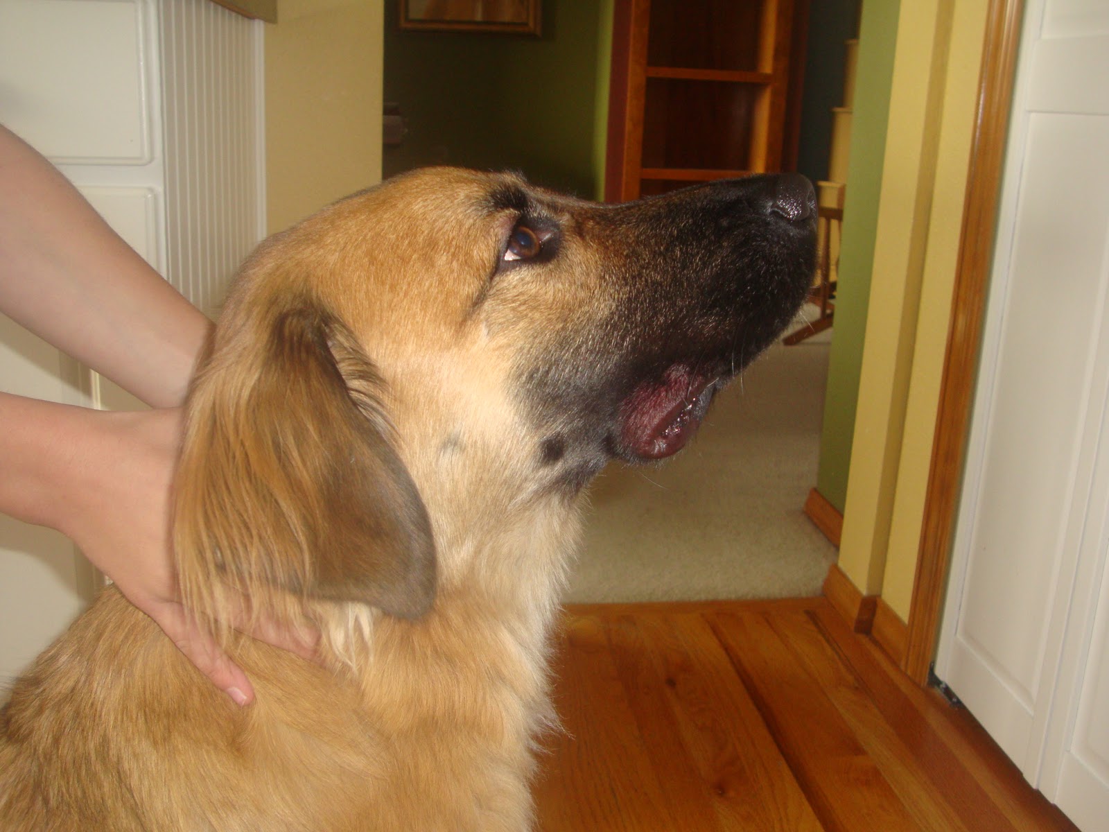 rockymountainhi5: October 2010