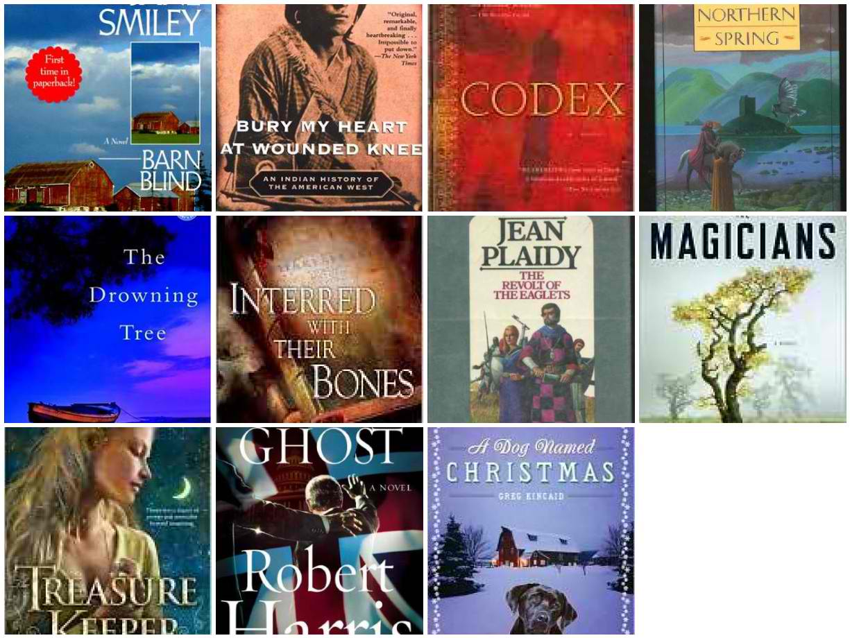 True Book Addict...Books, Cats, and More: January 2011