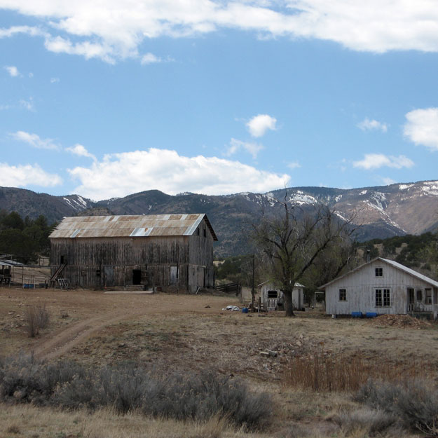 The Curious Blogquat: Me & Ted: Cooking at Ted Turner's Ladder Ranch Pt2/2