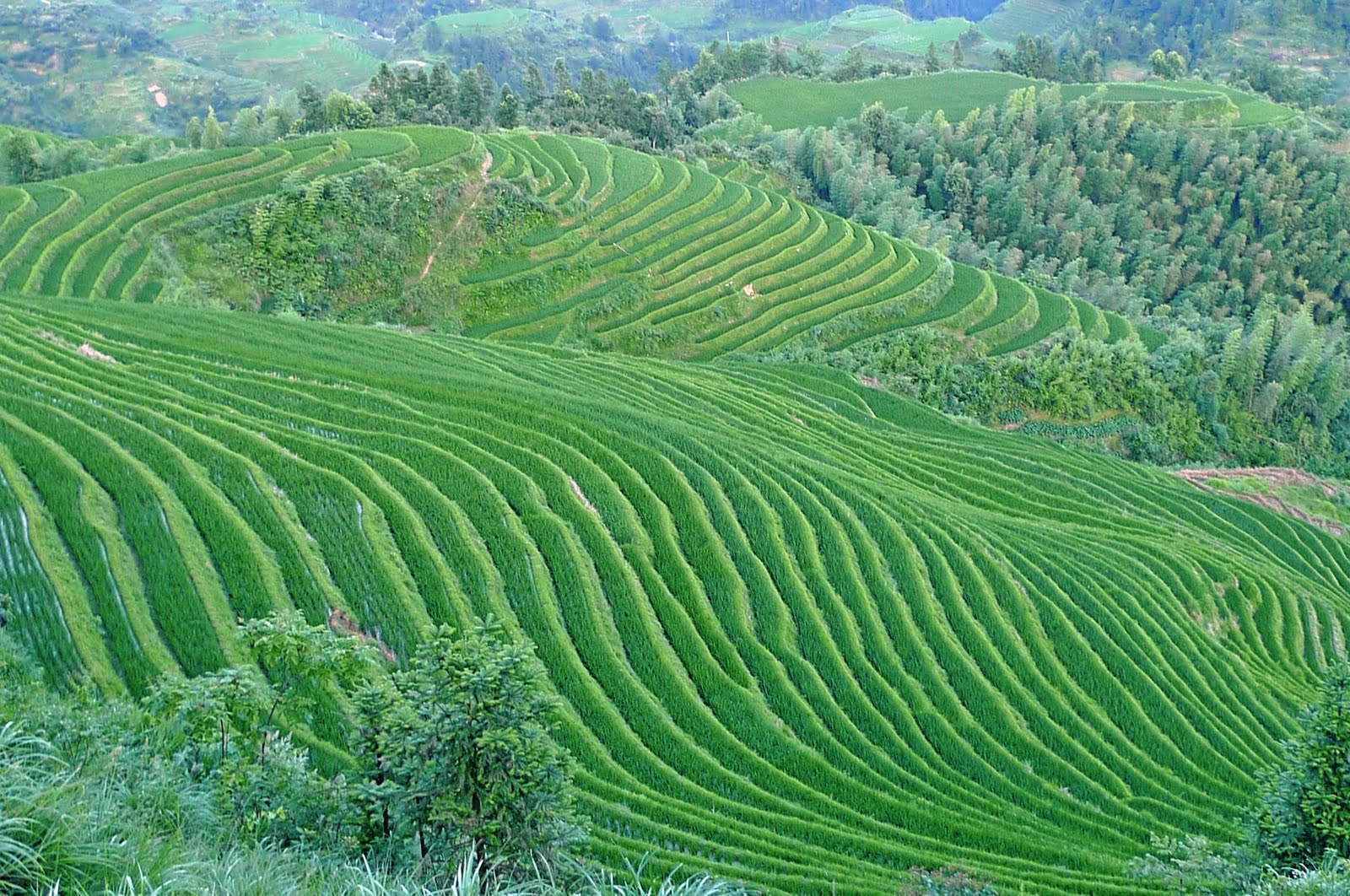 My Very First Blog: September 2010