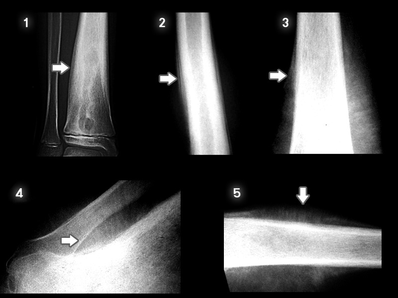 Mingz Blog ::: Medical, Food, and Leisure !: Introduction to ...