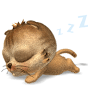 Dinga cat.叮嘉猫乐园: Dinga cat叮嘉写真集系列二