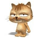 Dinga cat.叮嘉猫乐园: Dinga cat写真集系列三