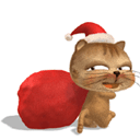 Dinga cat.叮嘉猫乐园: Dinga cat写真集系列三