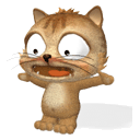 Dinga cat.叮嘉猫乐园: Dinga cat写真集系列三