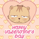 Dinga cat.叮嘉猫乐园