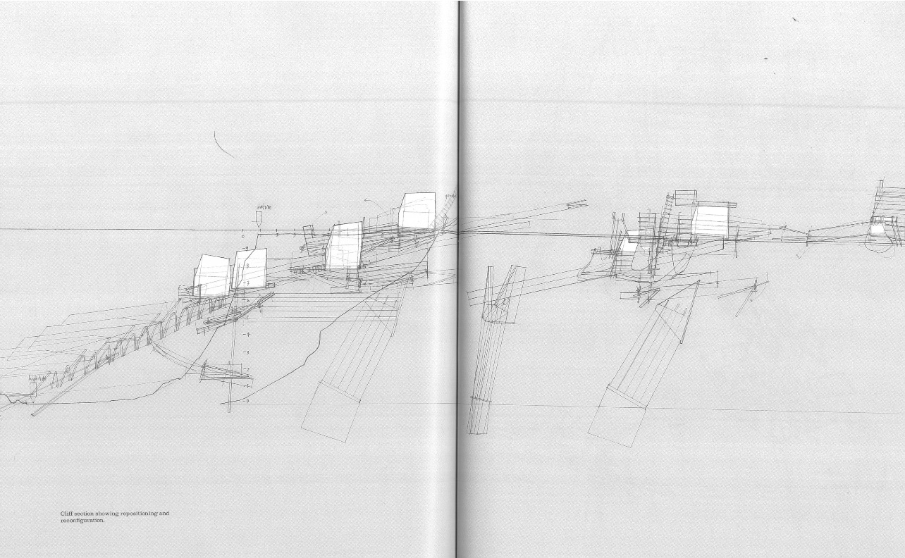 On Diagraming « Sculpting Biosynergies 2011