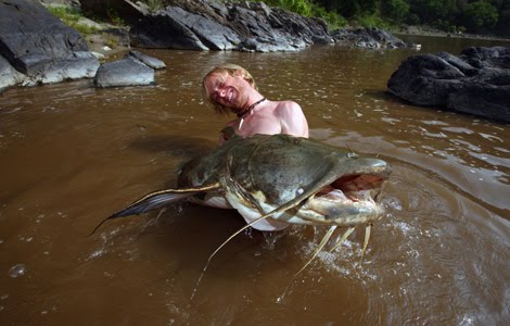 Real Cool Pics: 130 Pound Giant Goonch Catfish