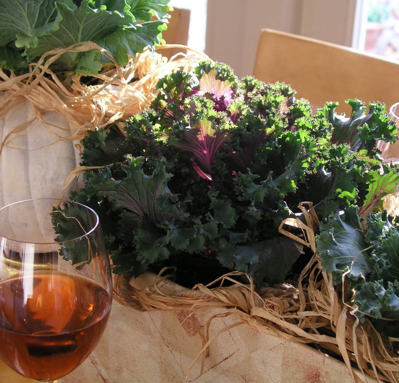 Affordable Accoutrements: Ornamental Kale! For Thanksgiving?
