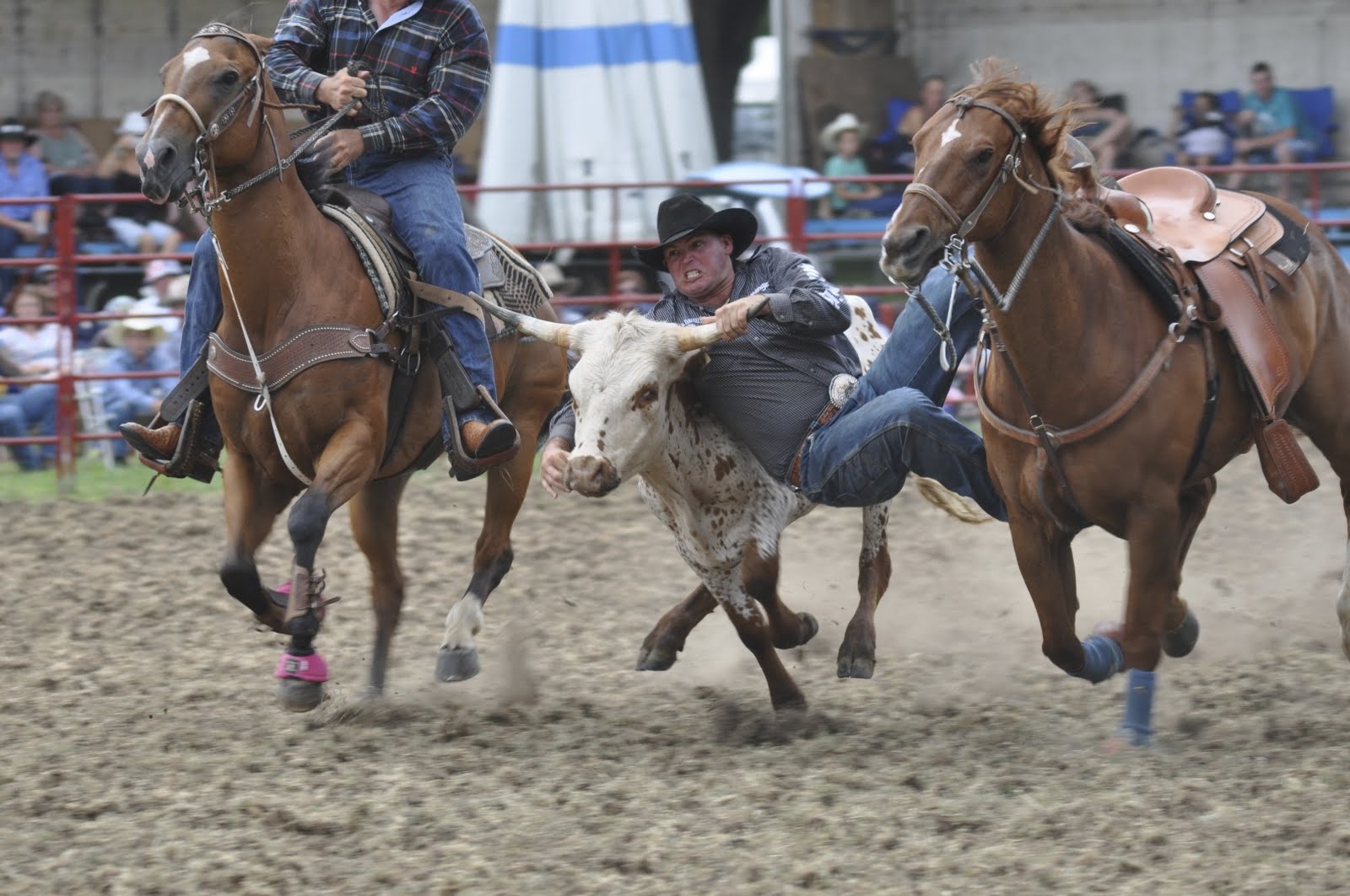 Arthur Stace: TUMBARUMBA RODEO