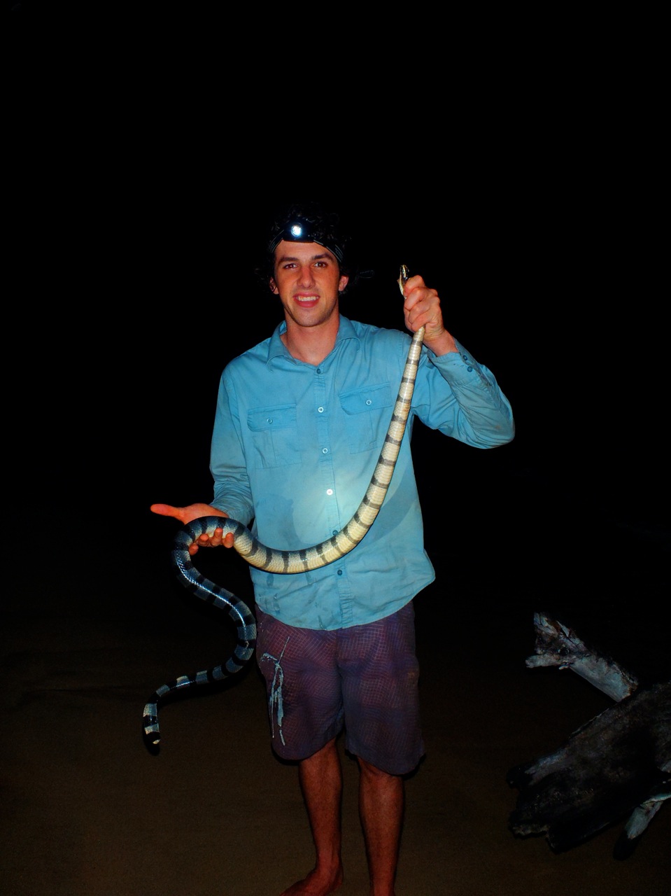 The Gerry Martin Project: Island Ecology Workshop 22/27 Nov 2010