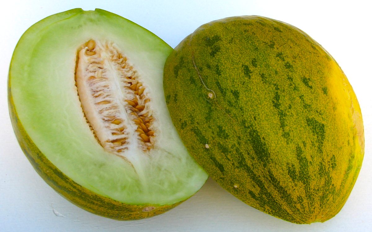 Hutchinson Farm: Lambkin Melons