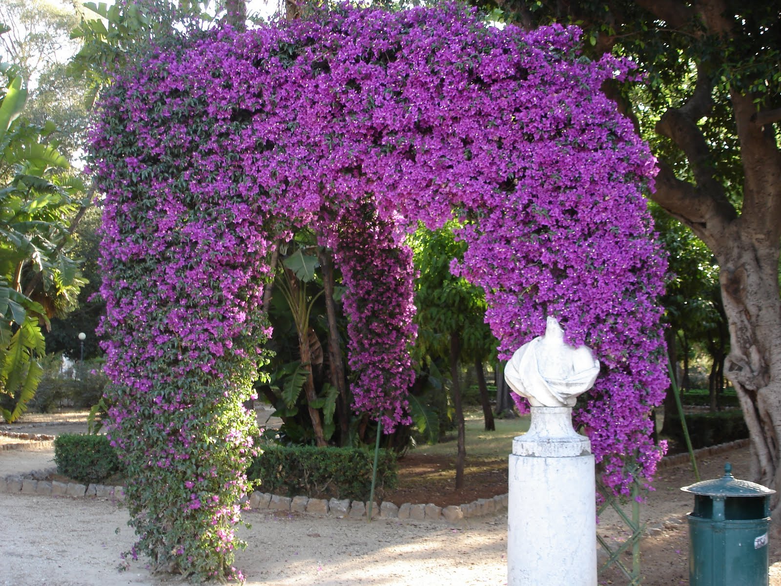 Cottage by the Sea : 04/10