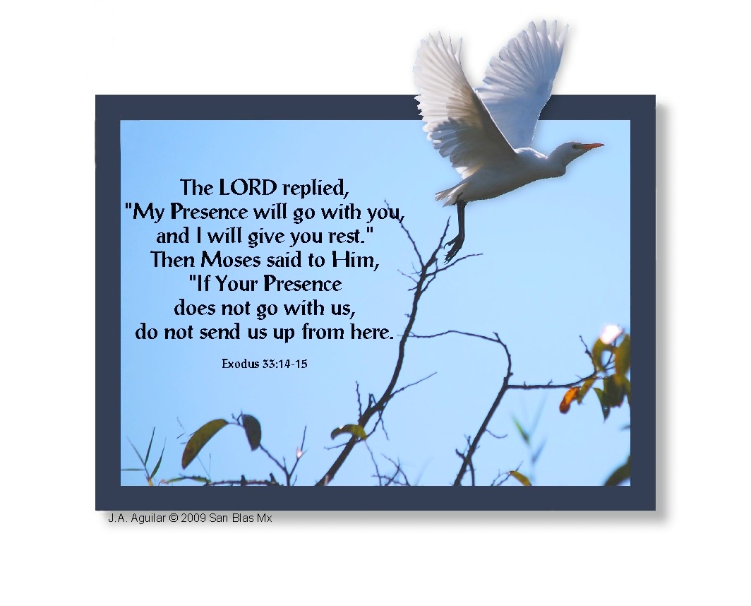 Inspiration for you...: Exodus 33:14-15