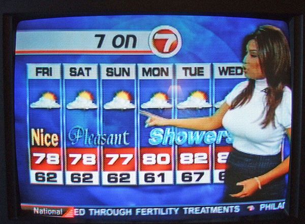 Sexy Weather Forecast Girls 76 Pics Curious Funny Photos Pictures