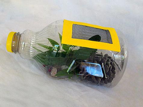 s.b.creatively: Juice Bottle Bug House