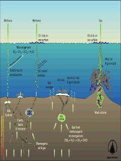 Deep water Drilling –Mud Systems-Gas Hydrates- |petroleum