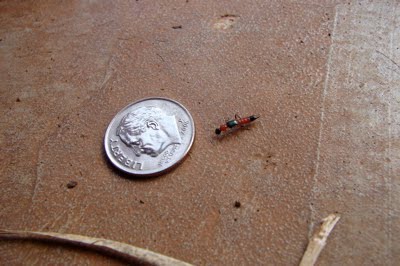 Christina's Blog: Nairobi Eye