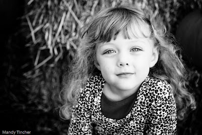 Pixel Pixie Photography: The Blog: The one where I went to Fall Fest.