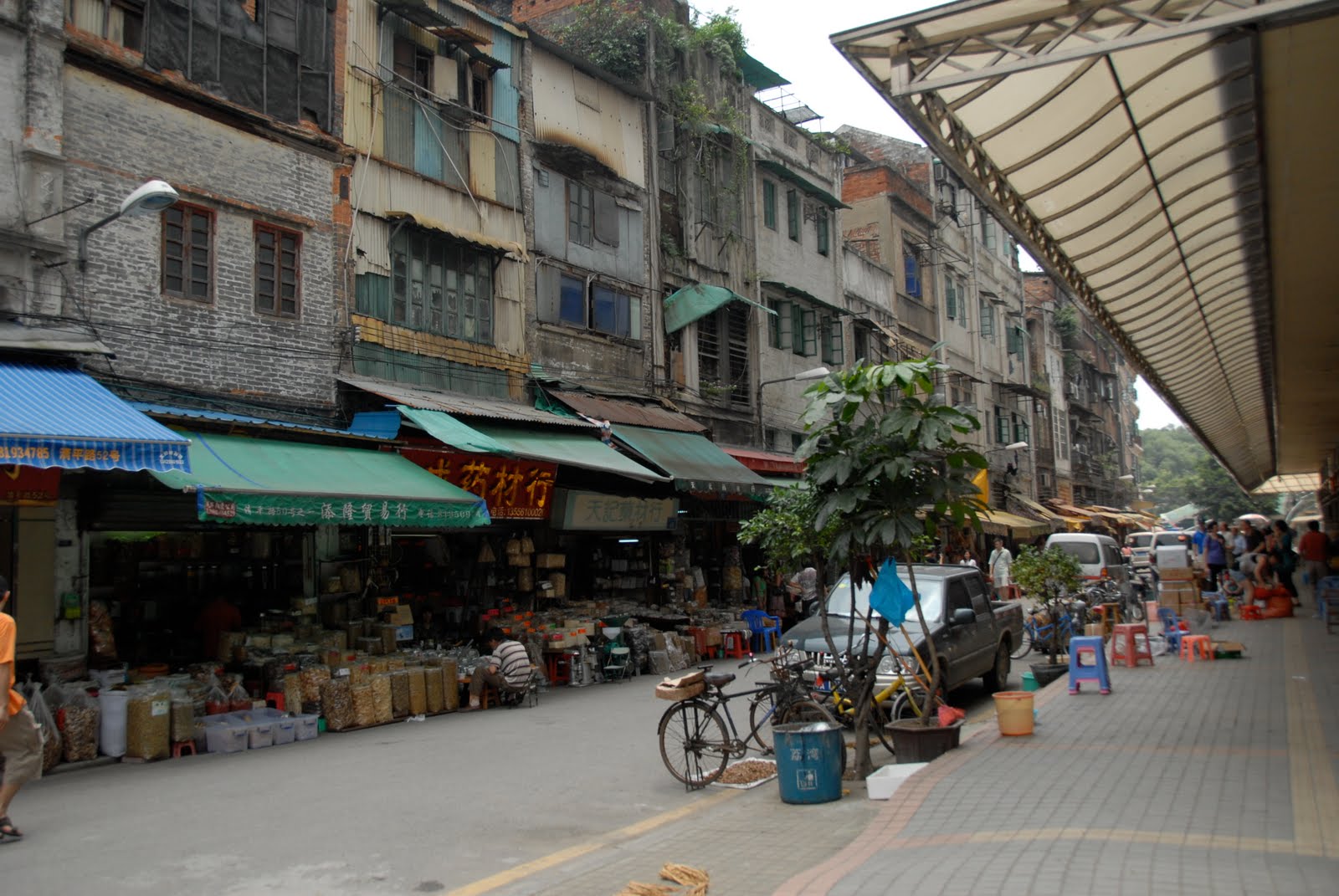 Bringing Zoe Home: Qing Ping Market