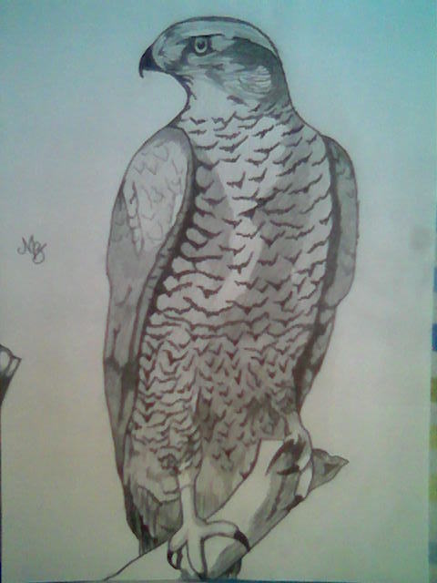 Pavilhão Literário Cultural Singrando Horizontes: Folclore, Superstição ...