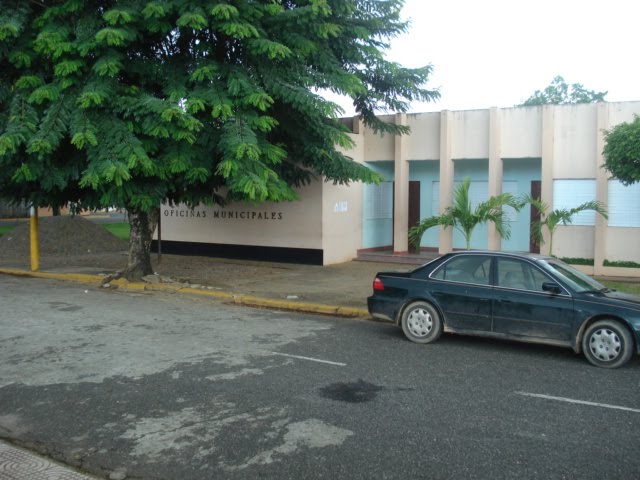 Andrés J. Morillo: CEVICOS en la enciclopedia virtual dominicana