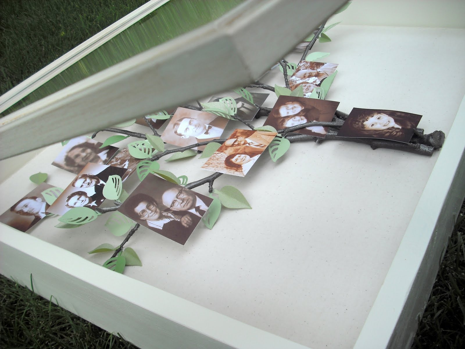 Crafty Sisters: My Family Tree Shadow Box