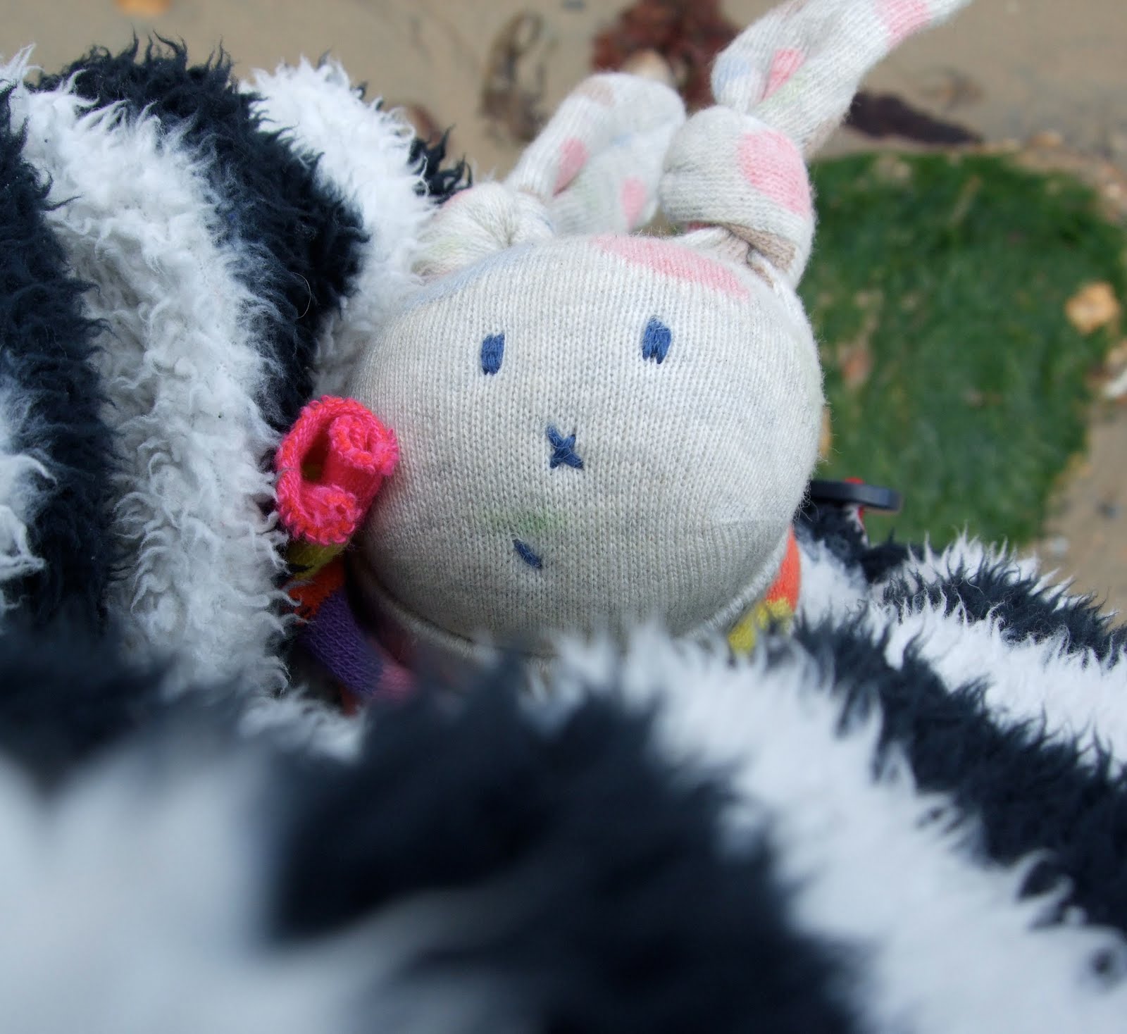 Anna Hull, Sock Bunny Maker to The World: Widget's Easter Break