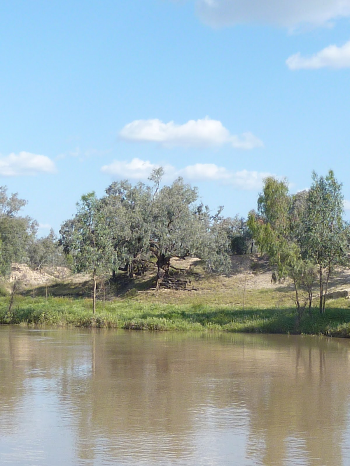 Snodge's subjective travel blog: Day 7 - Bourke: Mt Oxley, PV Jandra ...