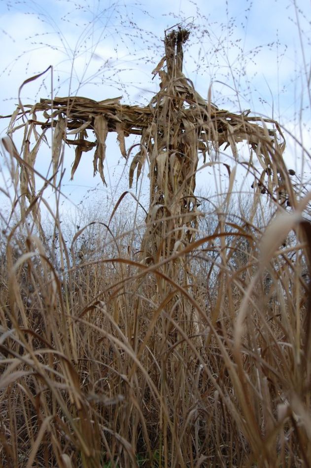 The Scarecrow's Post: Corn Cross