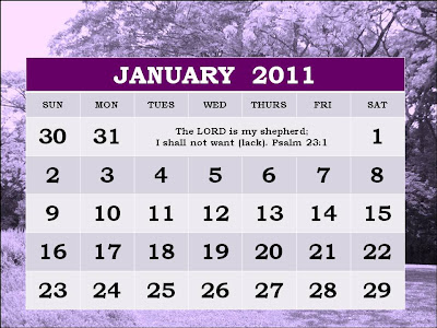 kmretex: calendar january 2011