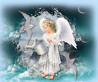 Il volo degli Angeli