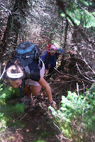 Gulliver's Nest: The Adams Slide Trail: A Short Walk in the Great Gulf