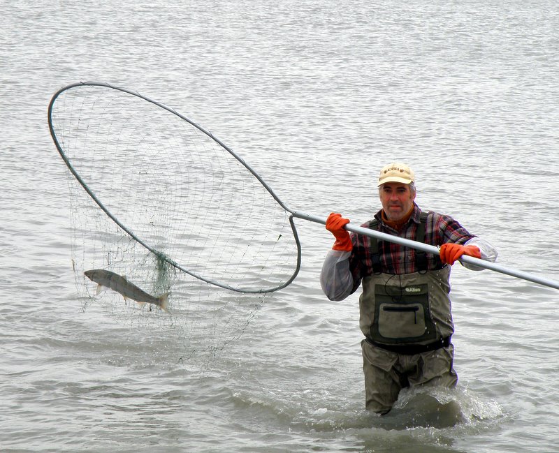 Alaska Adventure 2010: Kasilof River Dipnetting