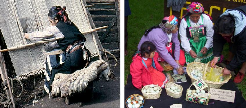 historia de los mapuches: pueblo mapuche