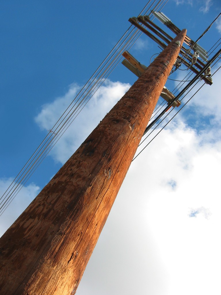 A Spicey Project! - Easy Environmentalism