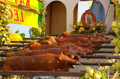 Silway Cruz Blog: Lechon Fiesta Parade or Parade of Roasted Pigs