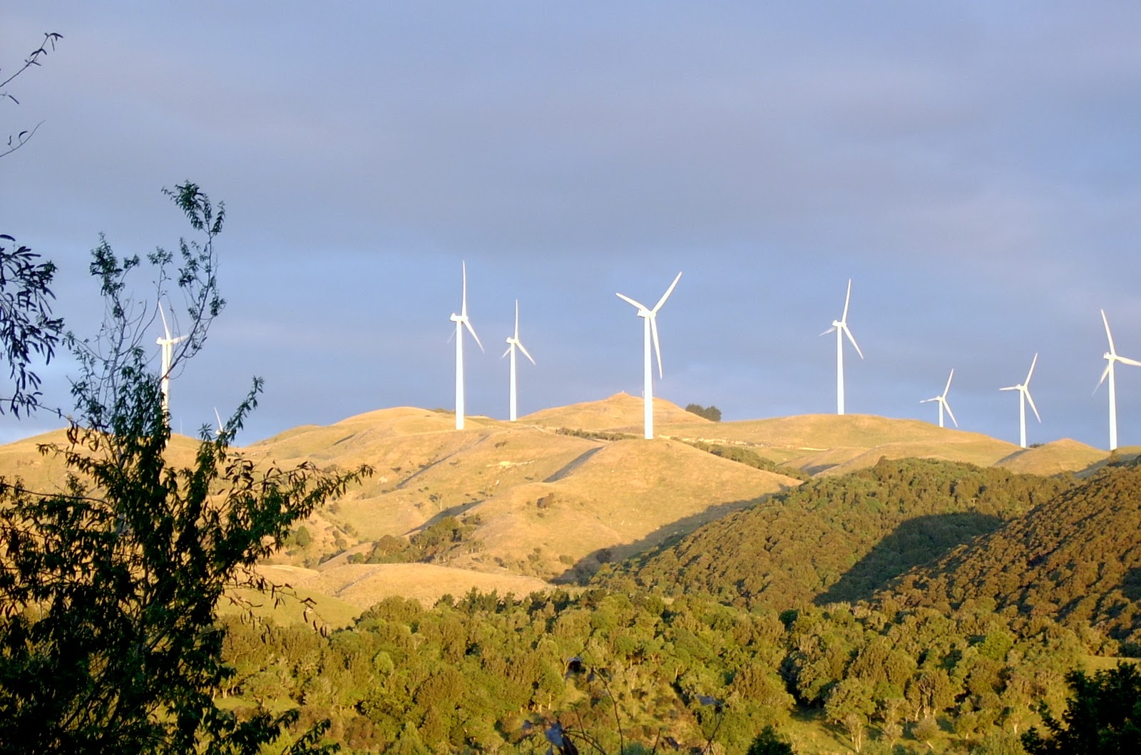 Six go a'travelling: Day 5 - Levin to Ashhurst