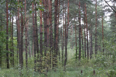 As Lithuanian Jews Remember, They Show The Fractures of Exile · Jewschool