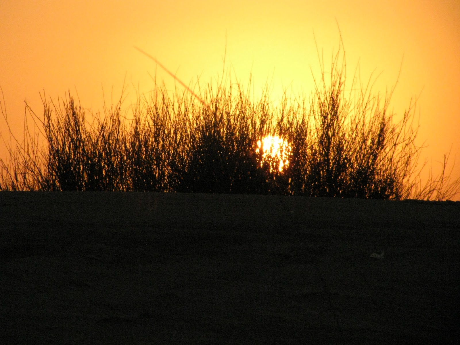 Blue Bahrain, Sandy Saudi: Desert Safari