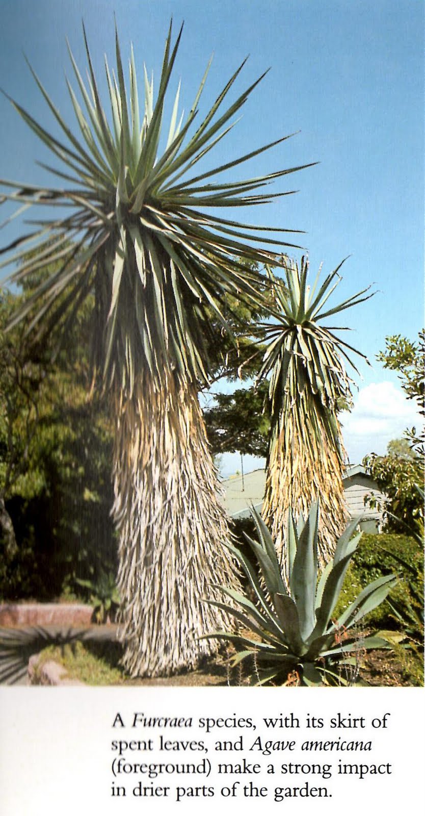 danger garden: So which one is it?