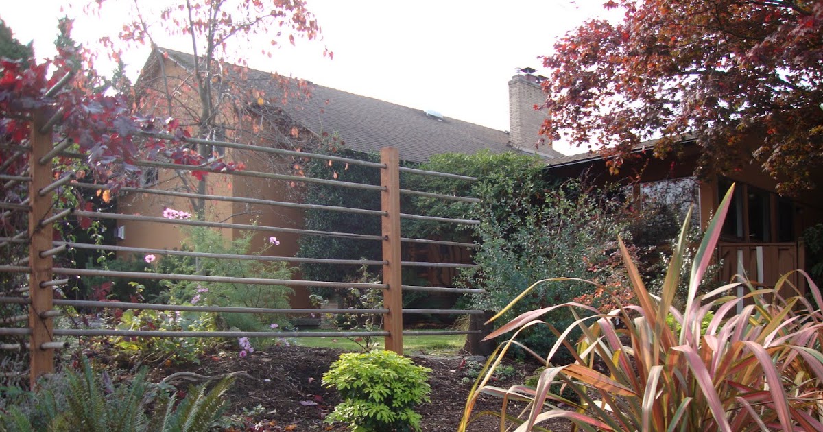 danger garden: A fence that doubles as a grape arbor