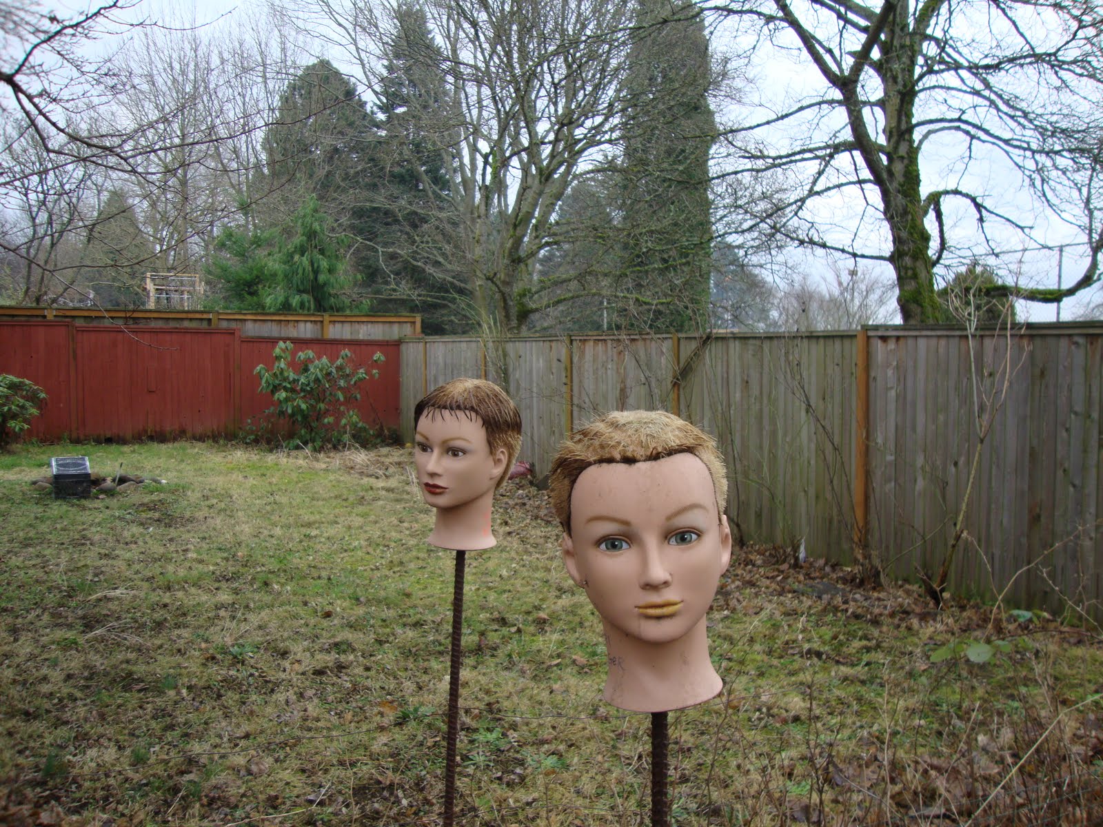 danger garden: Modern day scarecrows or garden art?