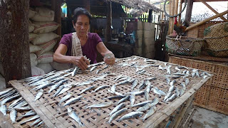 The Island Explorer: Malangabang Island: Concepcion, Iloilo