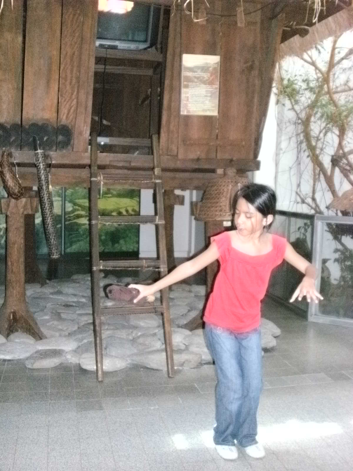 UPLB Museum of Natural History and IRRI Rice World | Island Travel