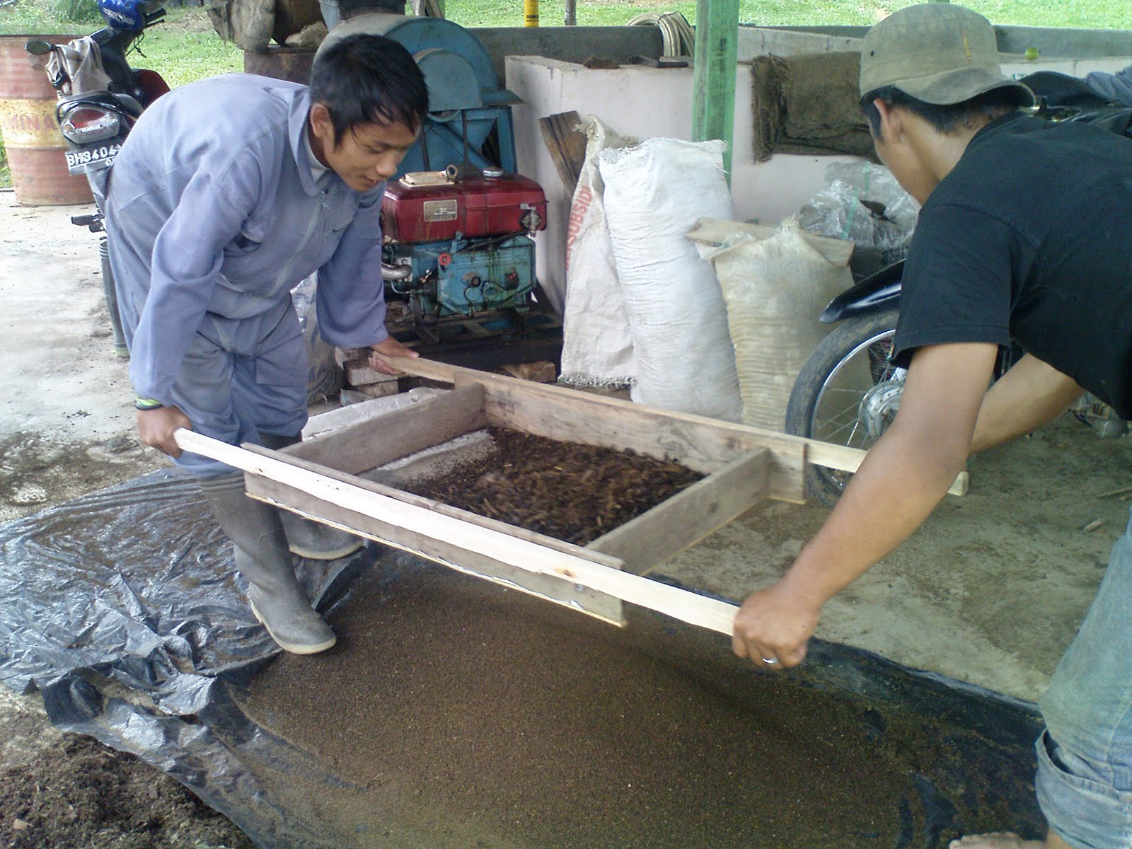 Pertanian Indonesia Mandiri: PEMBUATAN PUPUK BOKASHI MENGGUNAKAN JAMUR ...