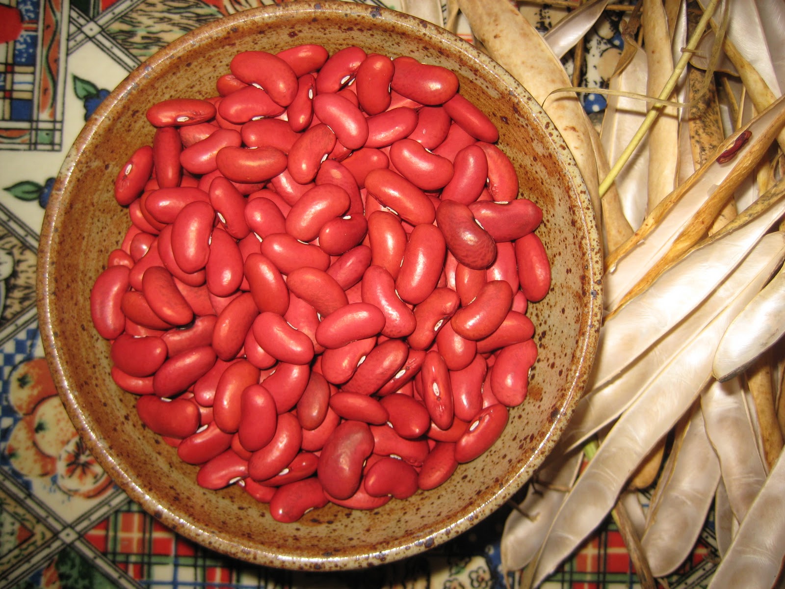 Mal's Allotment: Bean Bonanza