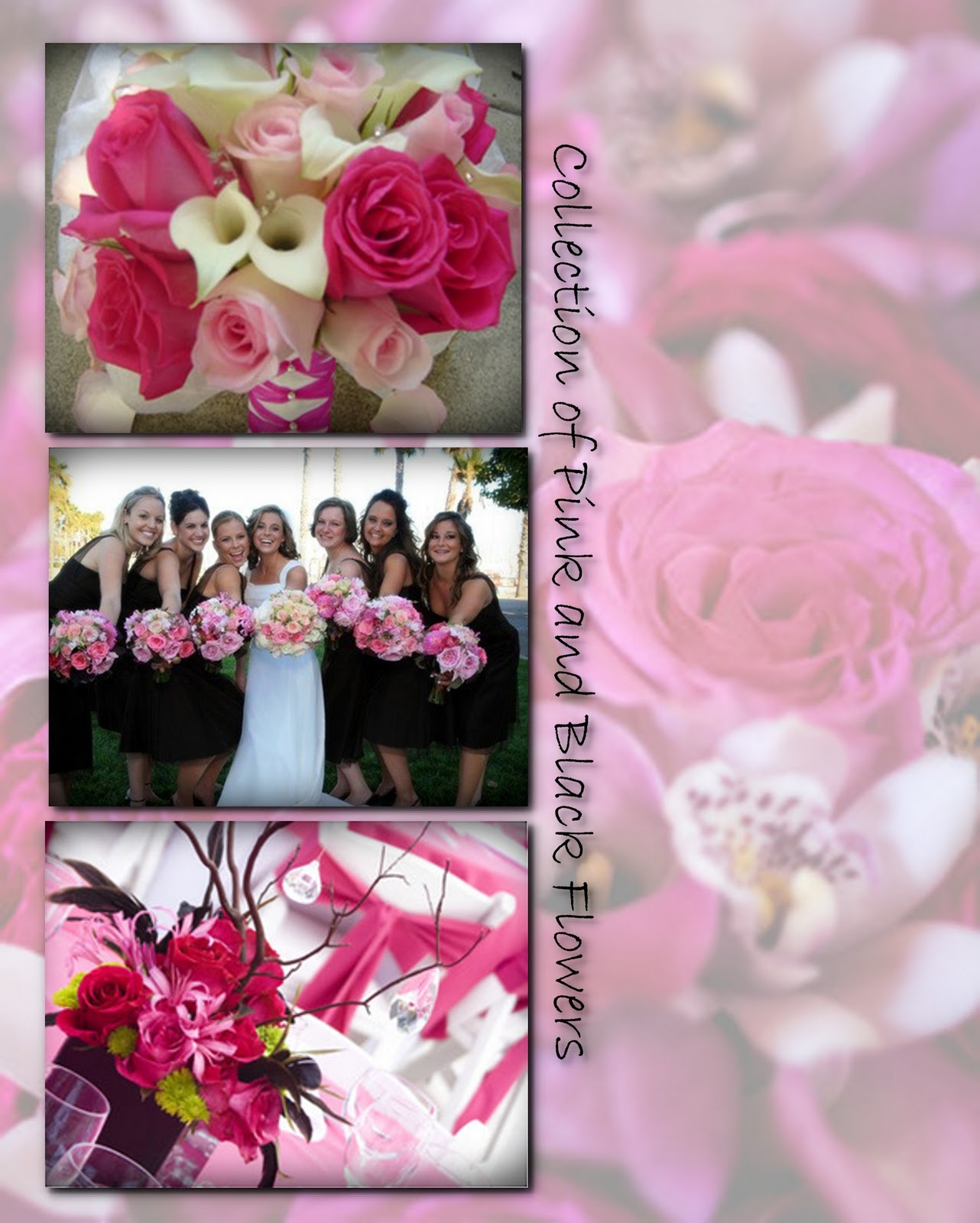 PHOTOBOOK CREATION: BUSINESS SHOWCASE BOOKS - EXAMPLE LAYOUTS